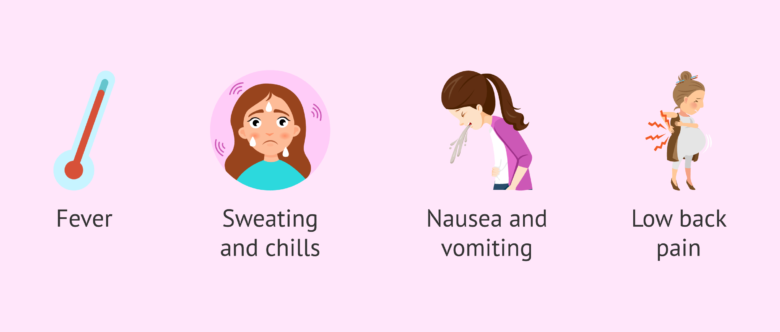 Symptoms of pyelonephritis in pregnancy