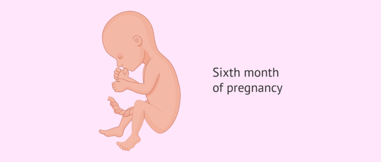 What to expect when you are 6 months pregnant