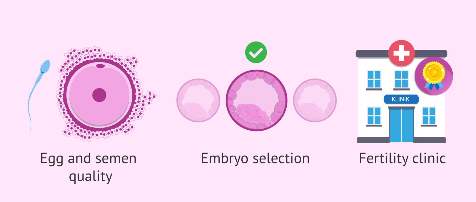 Success rates achieved for in vitro fertilization treatments (IVF)