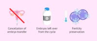What Is Embryo Vitrification? - Advantages over Slow Freezing