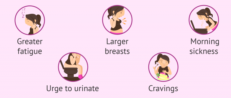 Five Weeks Pregnant: Development of the Baby and Symptoms of Mother