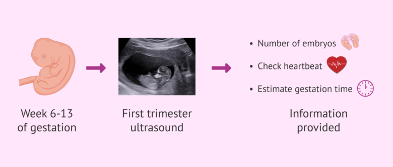 When is the first trimester ultrasound done?