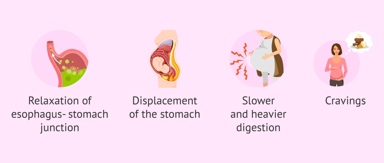 Digestive changes in pregnancy