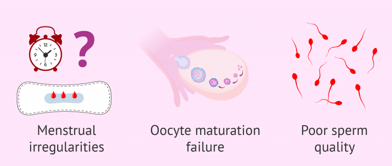 To What Extent Do Lifestyle Factors Affect Reproductive Health?