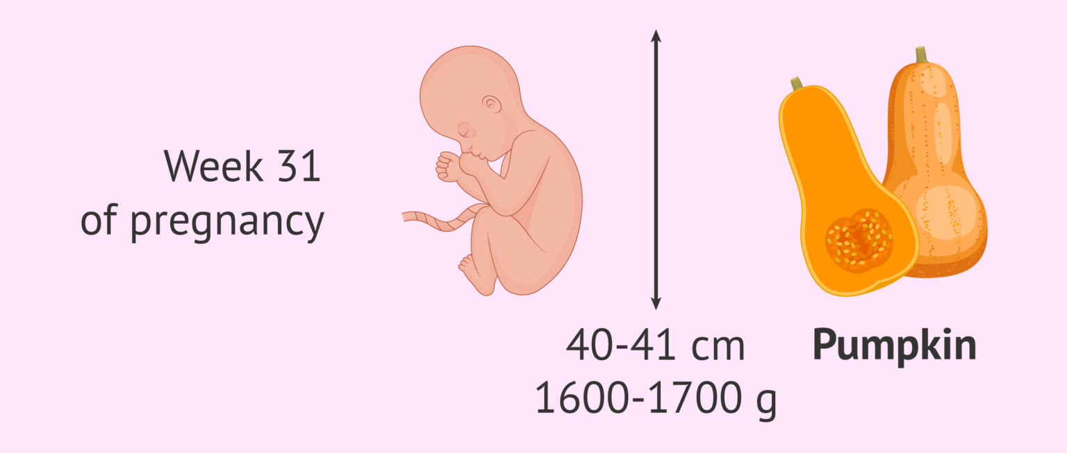 inviTRA - Medical magazine specialized in IVF and pregnancy