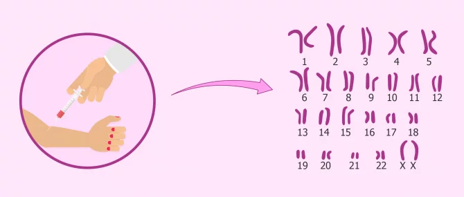 Female Infertility Testing Female Infertility Testing & Diagnostics In