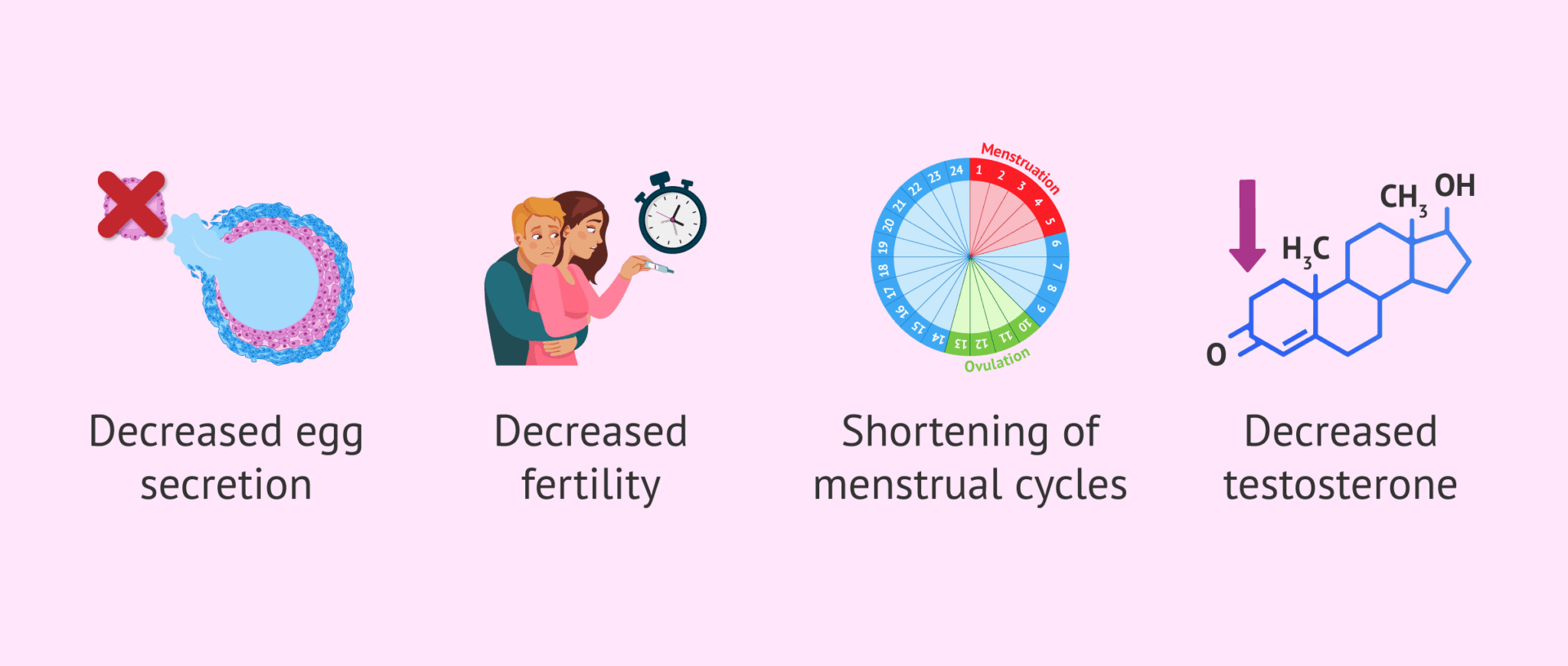 Changes in the body during perimenopause
