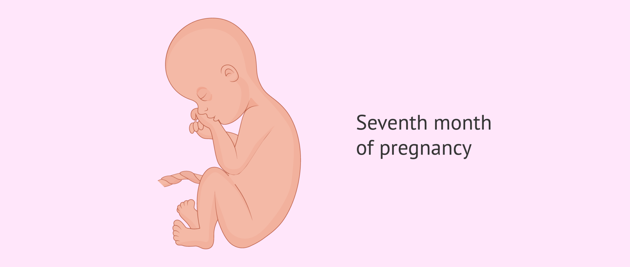Seven months pregnant