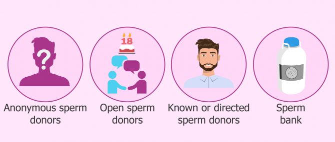 Using a Sperm Donor to Get Pregnant - How Does the Process Work?