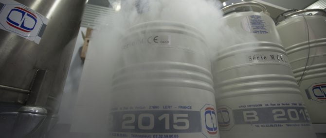 Serum IVF cryopreservation