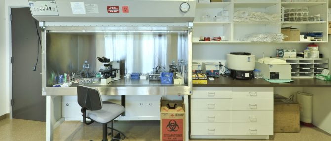 Coastal fertility IVF laboratory