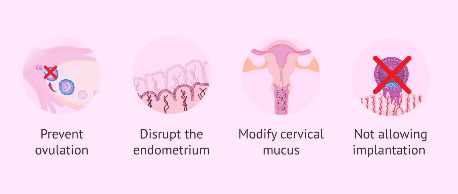 Contraceptive methods: types, efficacy, risks and prices