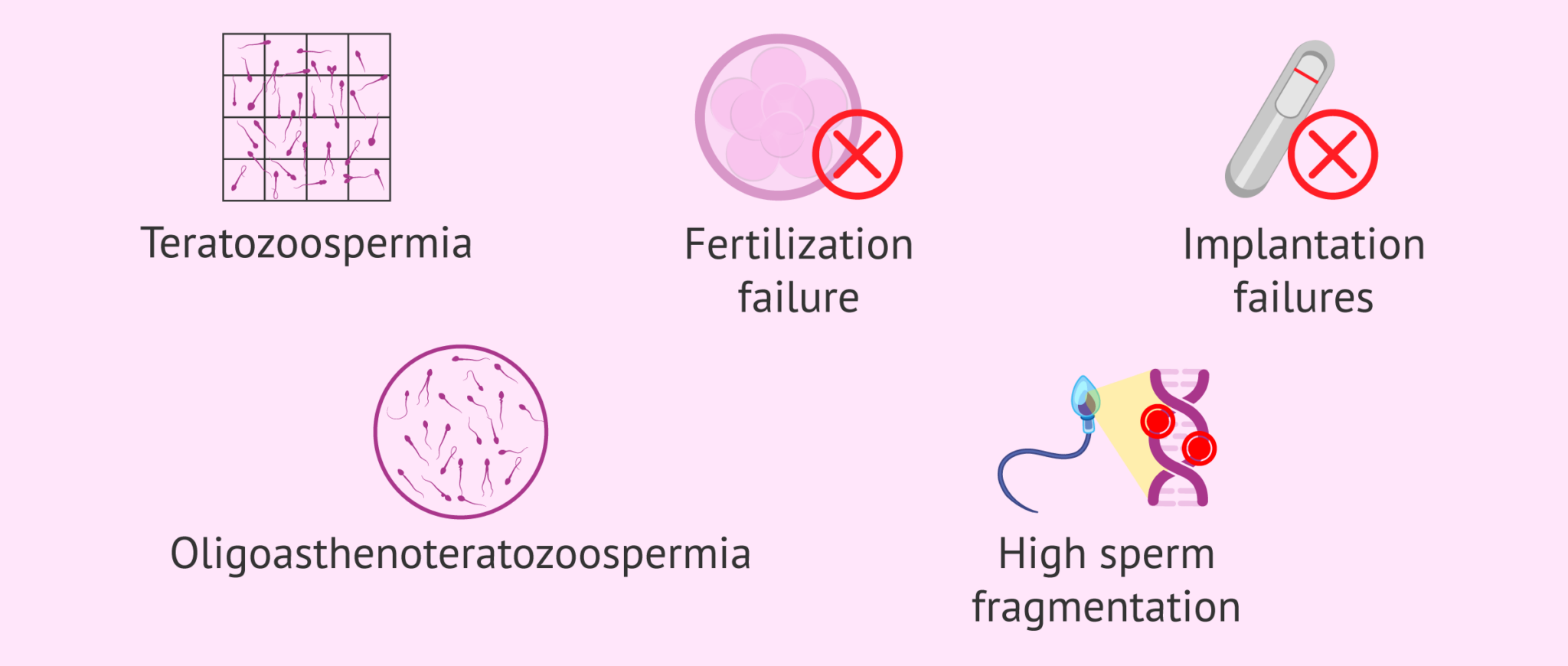 IMSI in IVF - differences to ICSI, advantages and disadvantages
