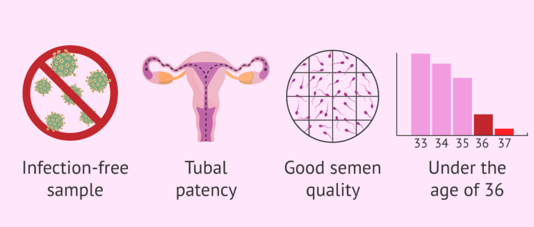 Requirements For Artificial Insemination requirements-for-artificial-insemination