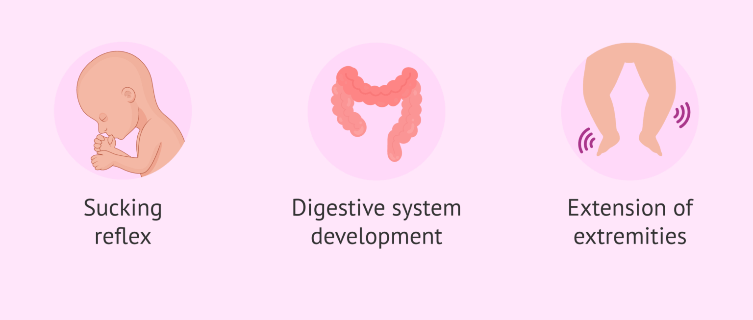 Seventh Month of Pregnancy - Symptoms & What to Expect