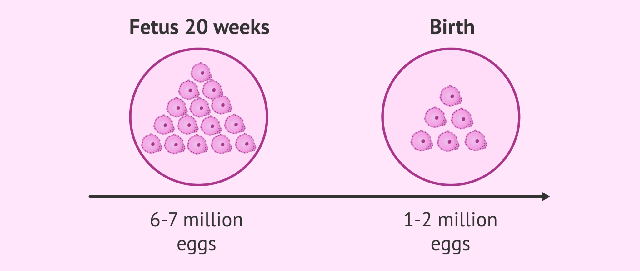 What Happens during Your Sixth Month of Pregnancy?