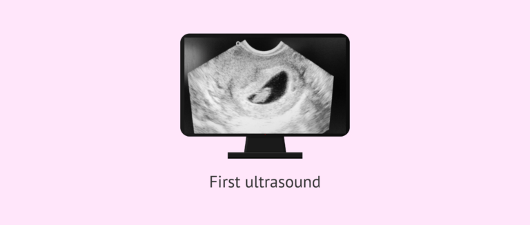 The Sixth Week Pregnancy: Embryo Evolution and Symptoms