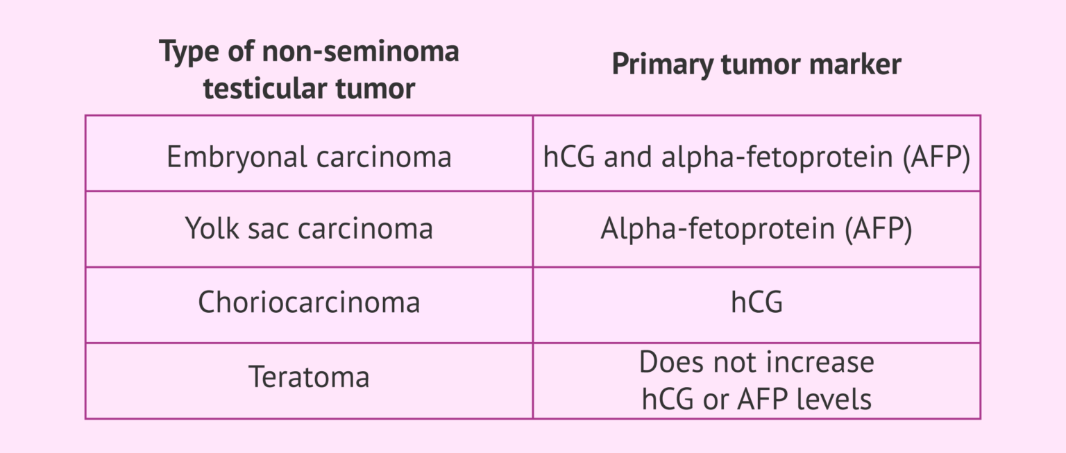Testicular Cancer: Causes, Symptoms, Diagnosis & Treatment.