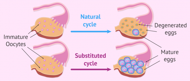 Ovaleap in IVF: Administration, Costs & Possible Side Effects