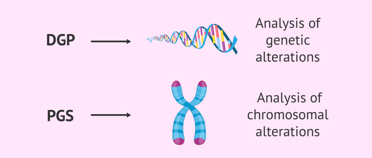 What Genetic Diseases Can PGD Test for?