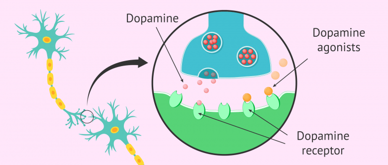 Treatment of hyperprolactinemia with dopamine agonists