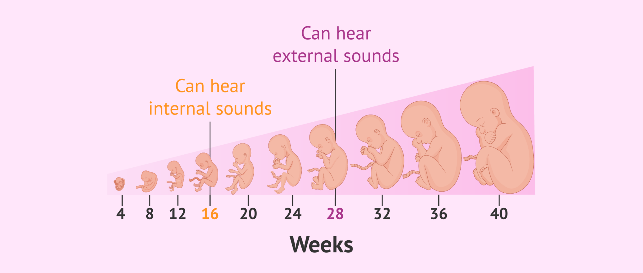 Is it good for the baby to play music during pregnancy? What kind?