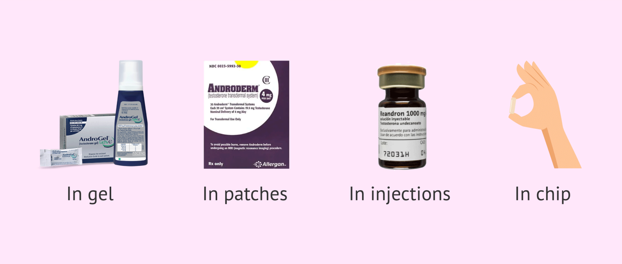Testosterone hormone: what is its function in men and women?