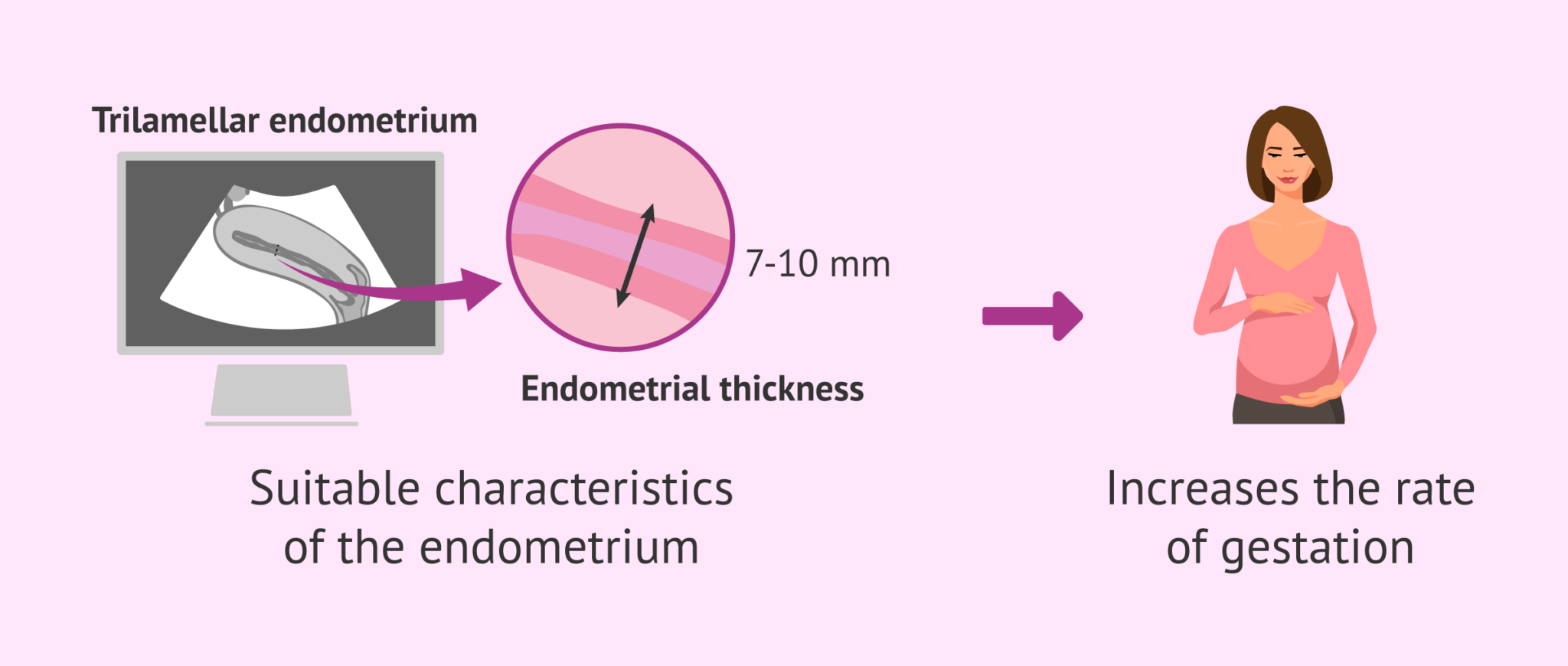 Endometrial thickness assessment