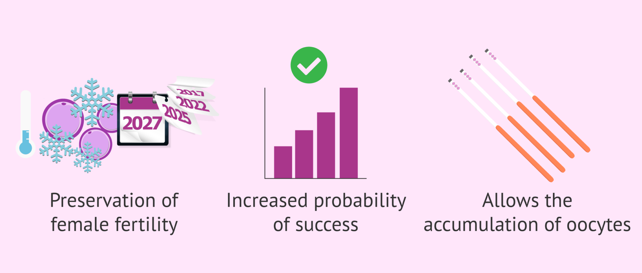 What is meant by egg vitrification and what are its advantages?