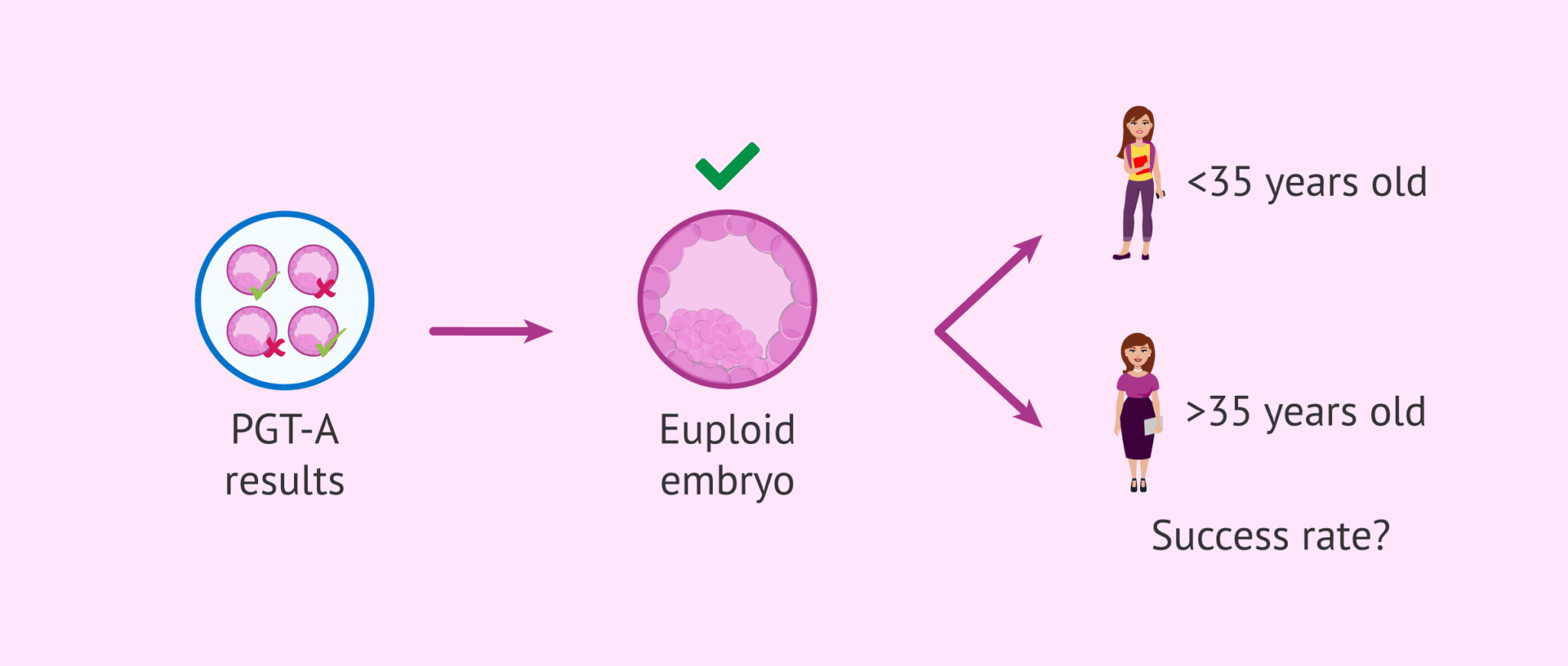IVF with euploid embryos: Does maternal age affect success?