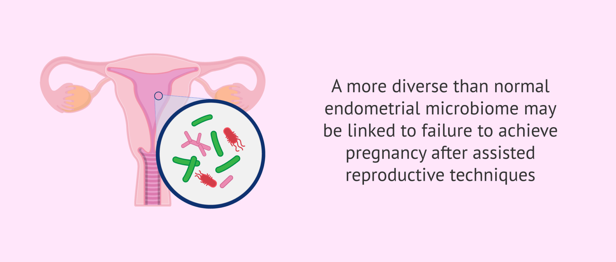 How can the endometrial microbiome influence embryo implantation?
