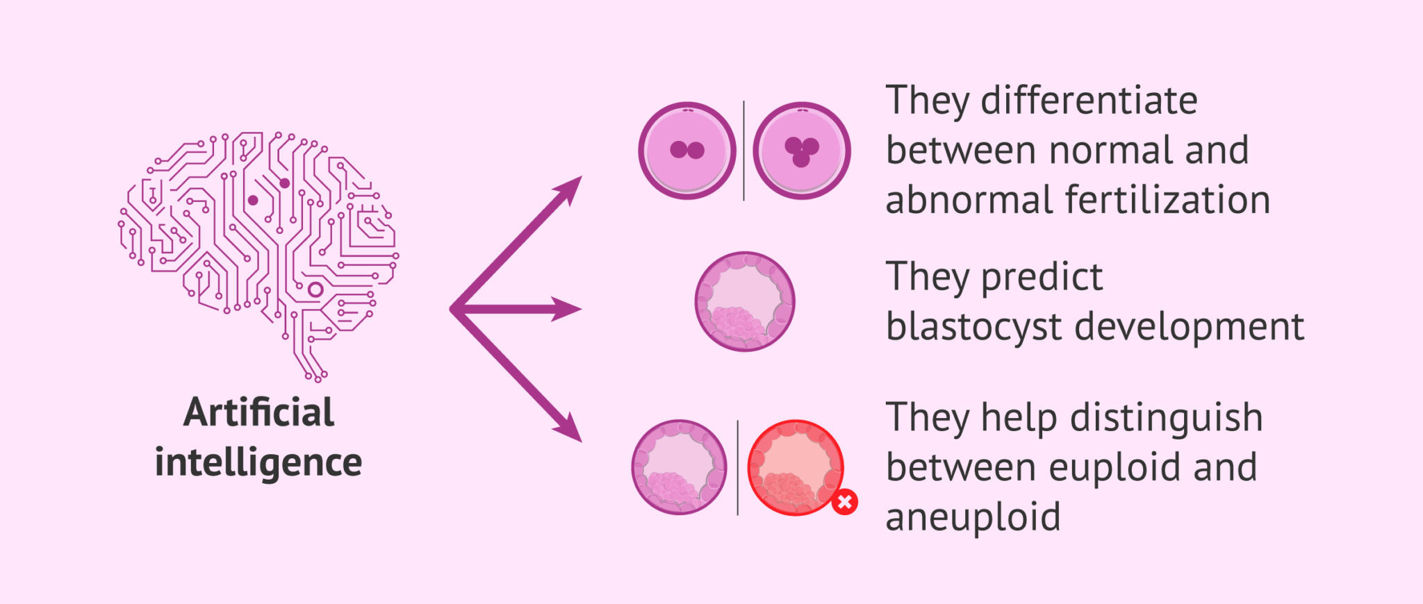 Artificial intelligence and embryo selection