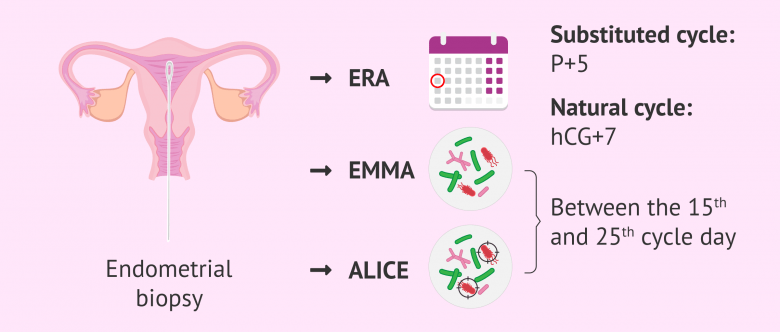 When to do the biopsy for the EndomeTRIO test?