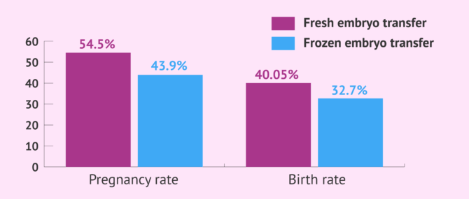 Pregnancy and birth rates for IVF with double gamete donation