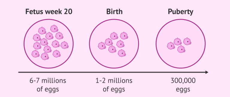 Ovarian reserve depletion