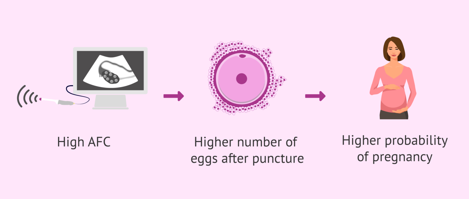 Ovarian reserve tests: What they are and how to interpret them