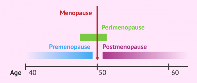 What Is Perimenopause? Symptoms and Pregnancy Possibility
