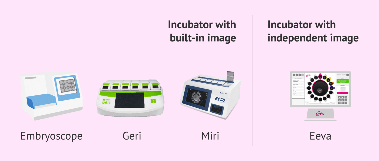 What Is Time-Lapse Technology in IVF? - Definition & Benefits