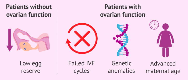 When to use egg donation IVF