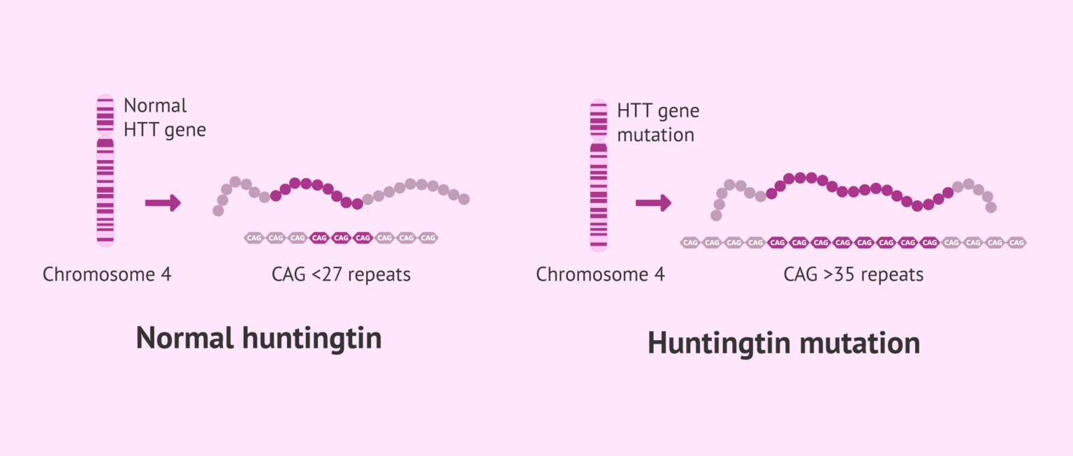 Mutation in the gene encoding huntingtin