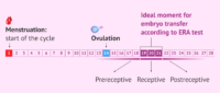 When are embryos transferred after an ERA test?
