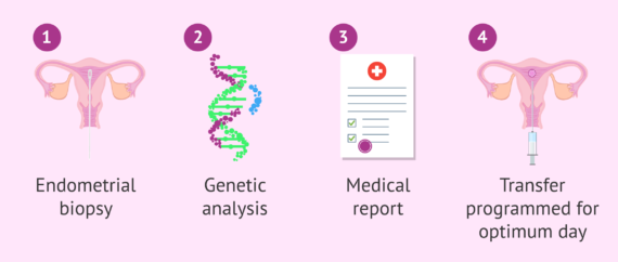 What is the procedure for an ERA test?