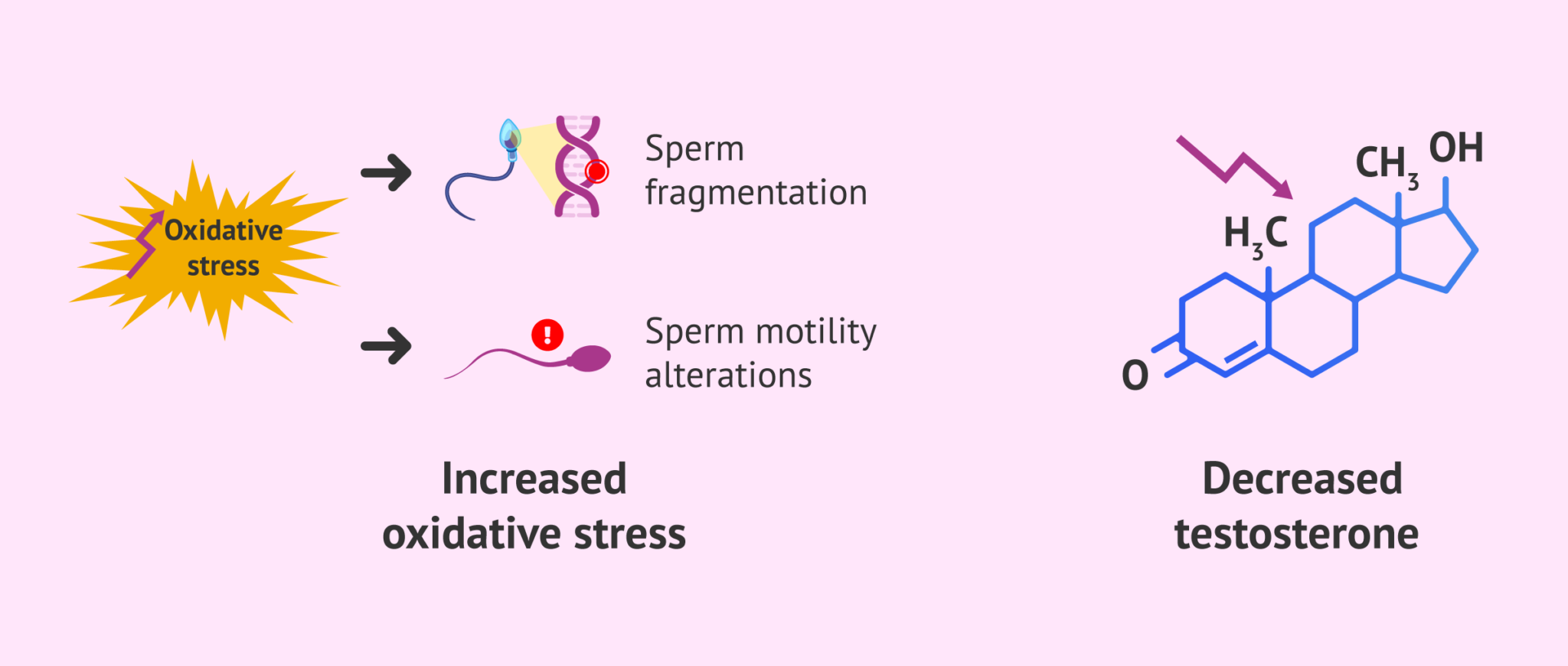 Does the mobile phone have an effect on semen quality?