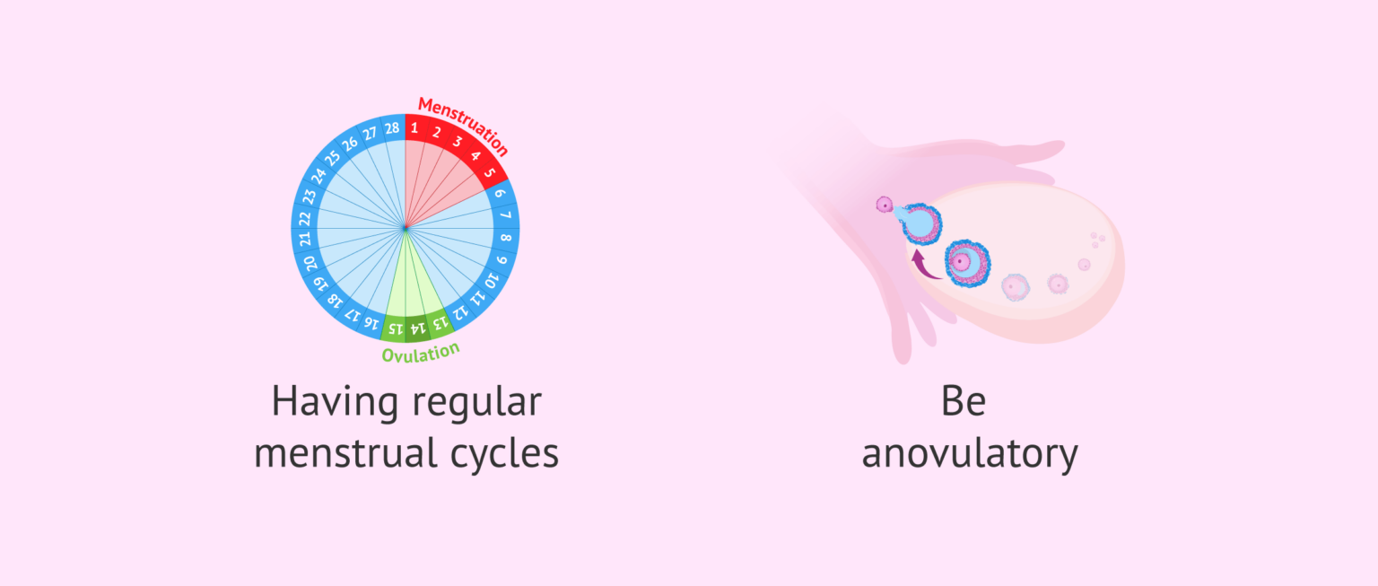 Embryo Transfer in Natural Cycles: Advantages & Disadvantages