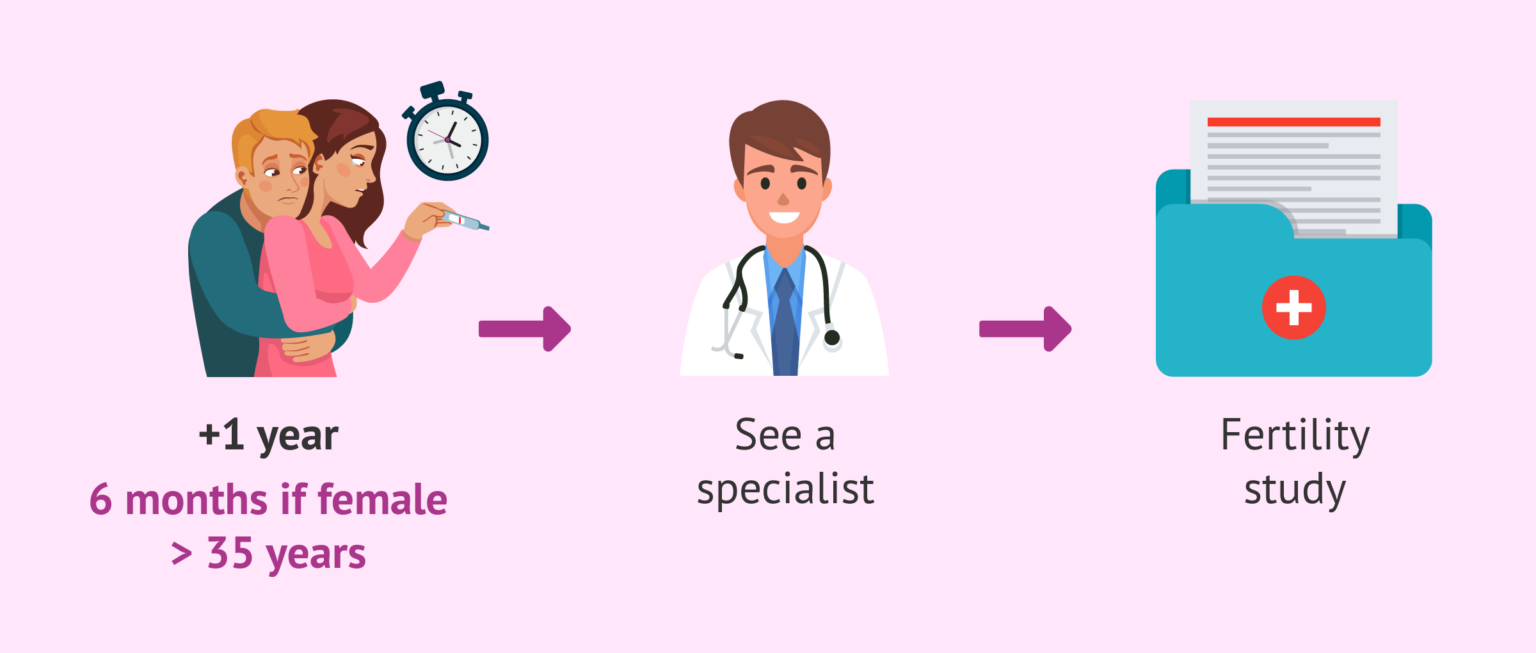 Male & Female Fertility Explained: What Factors Can Affect It?