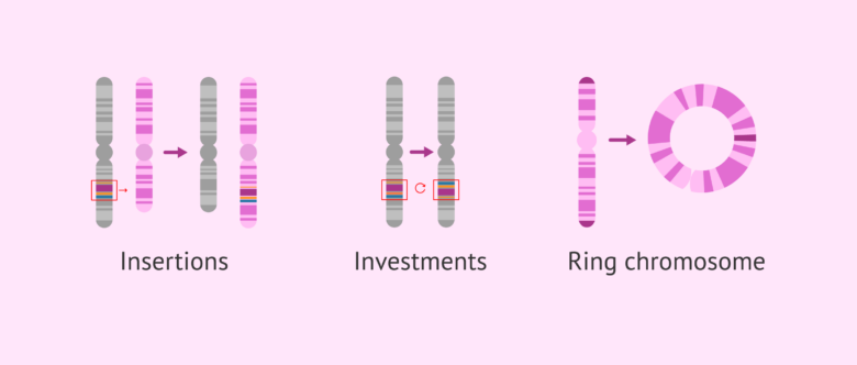 Some types of structural alterations in chromosomes