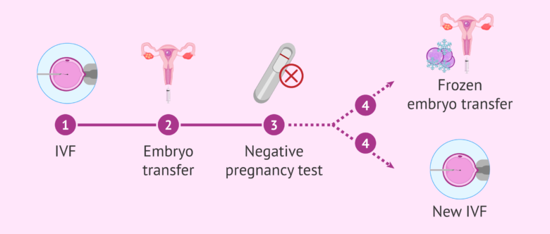 In vitro fertilization (IVF) - What is it and how much does it cost?