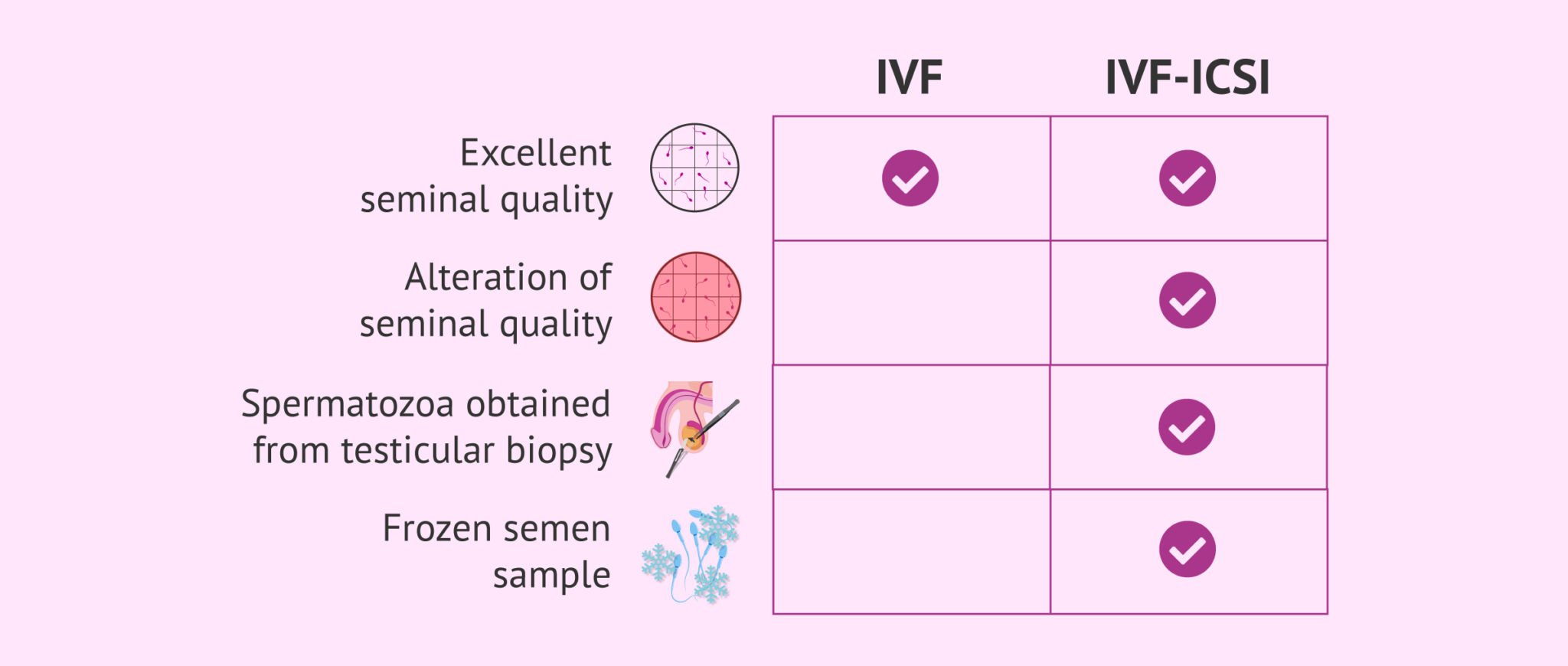 In vitro fertilization (IVF) - What is it and how much does it cost?