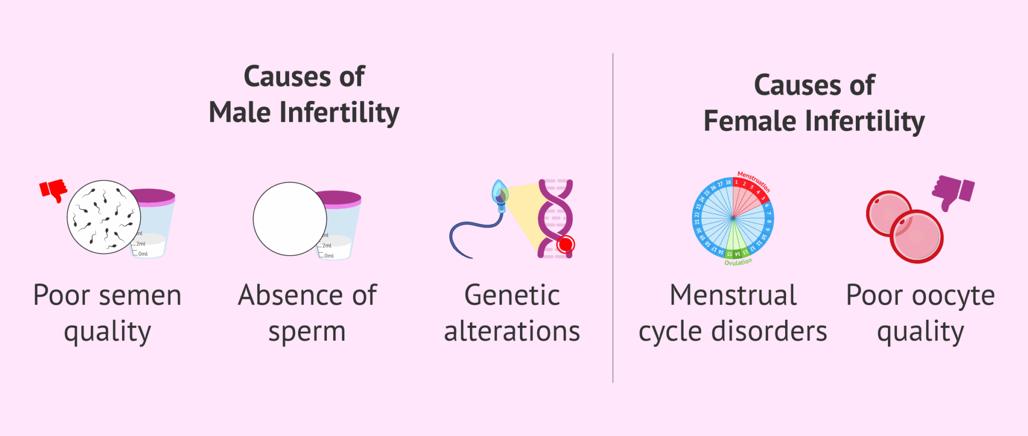 Some Causes of Male and Female Infertility