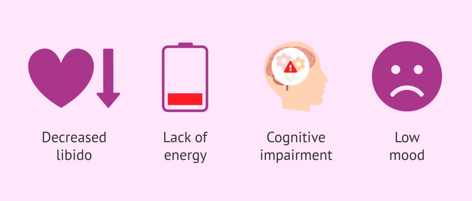 What is the role of testosterone in women?